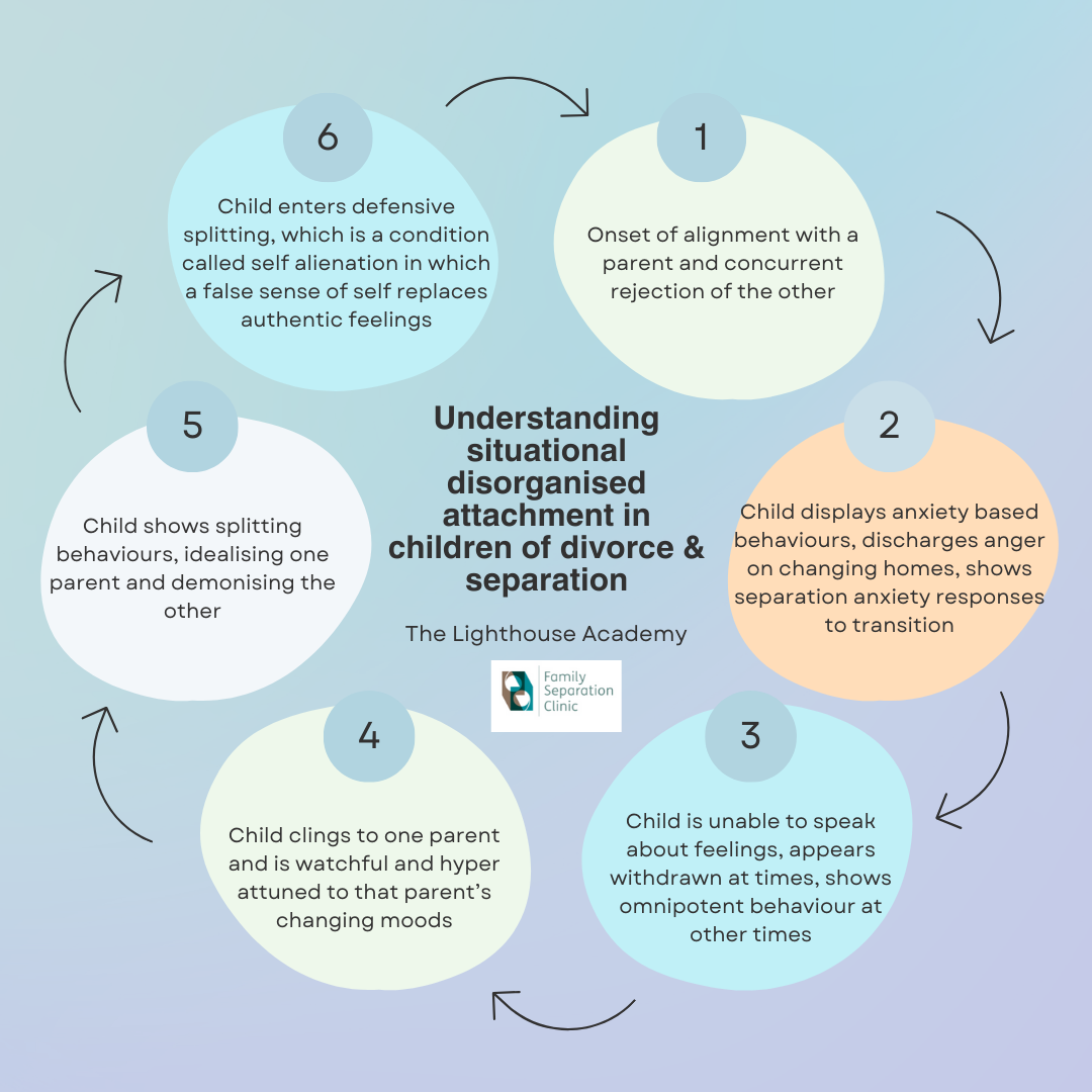 Understanding a child who rejects a parent: lessons for legal people ...
