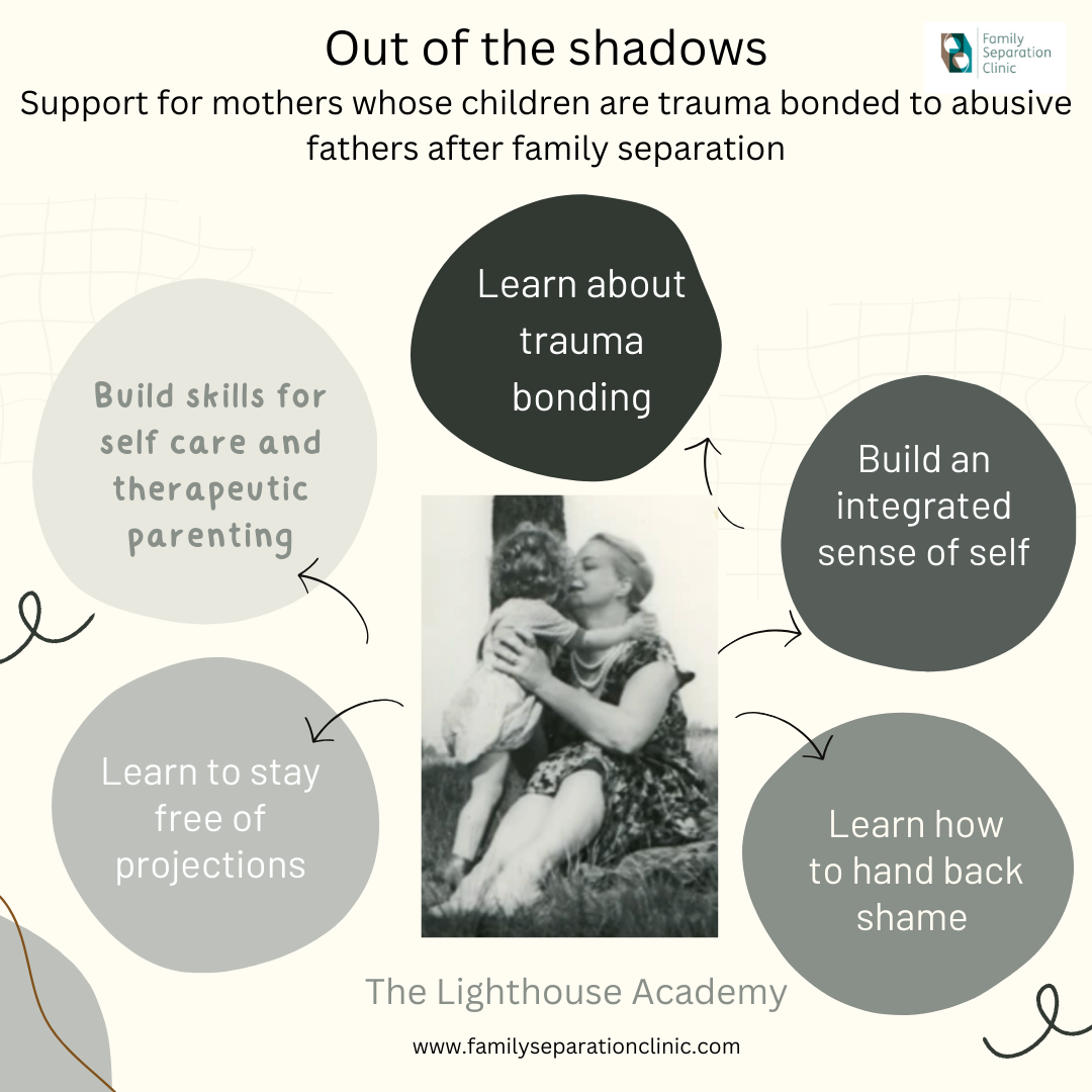 Out of the shadows: a psychological approach to understanding coercive ...